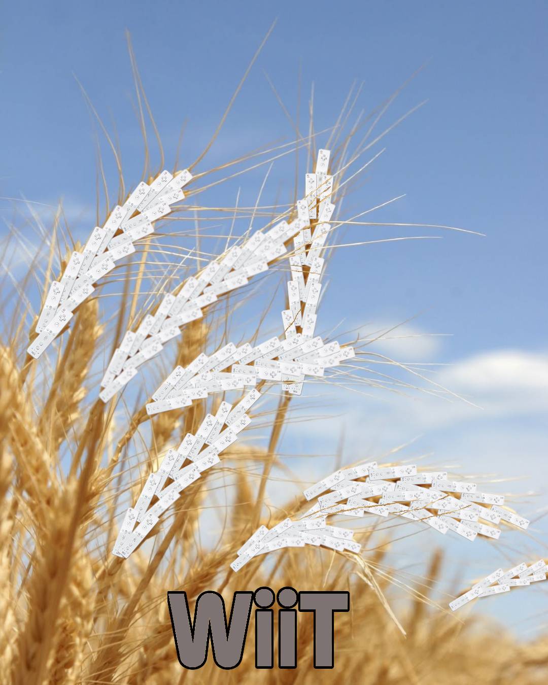 NiNtEnDo | Scrolller