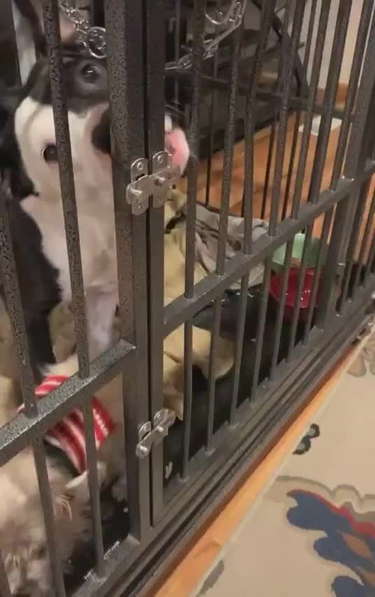 There was an attempt | Scrolller