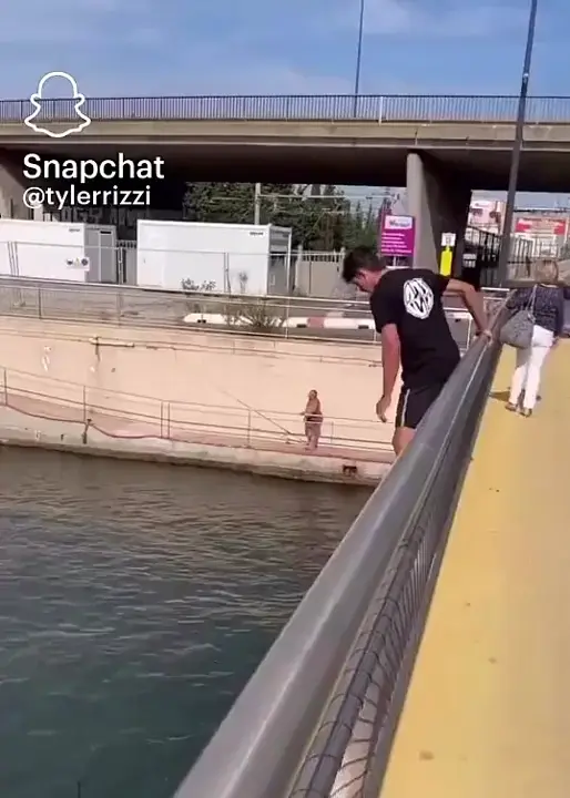 No free rides | Scrolller