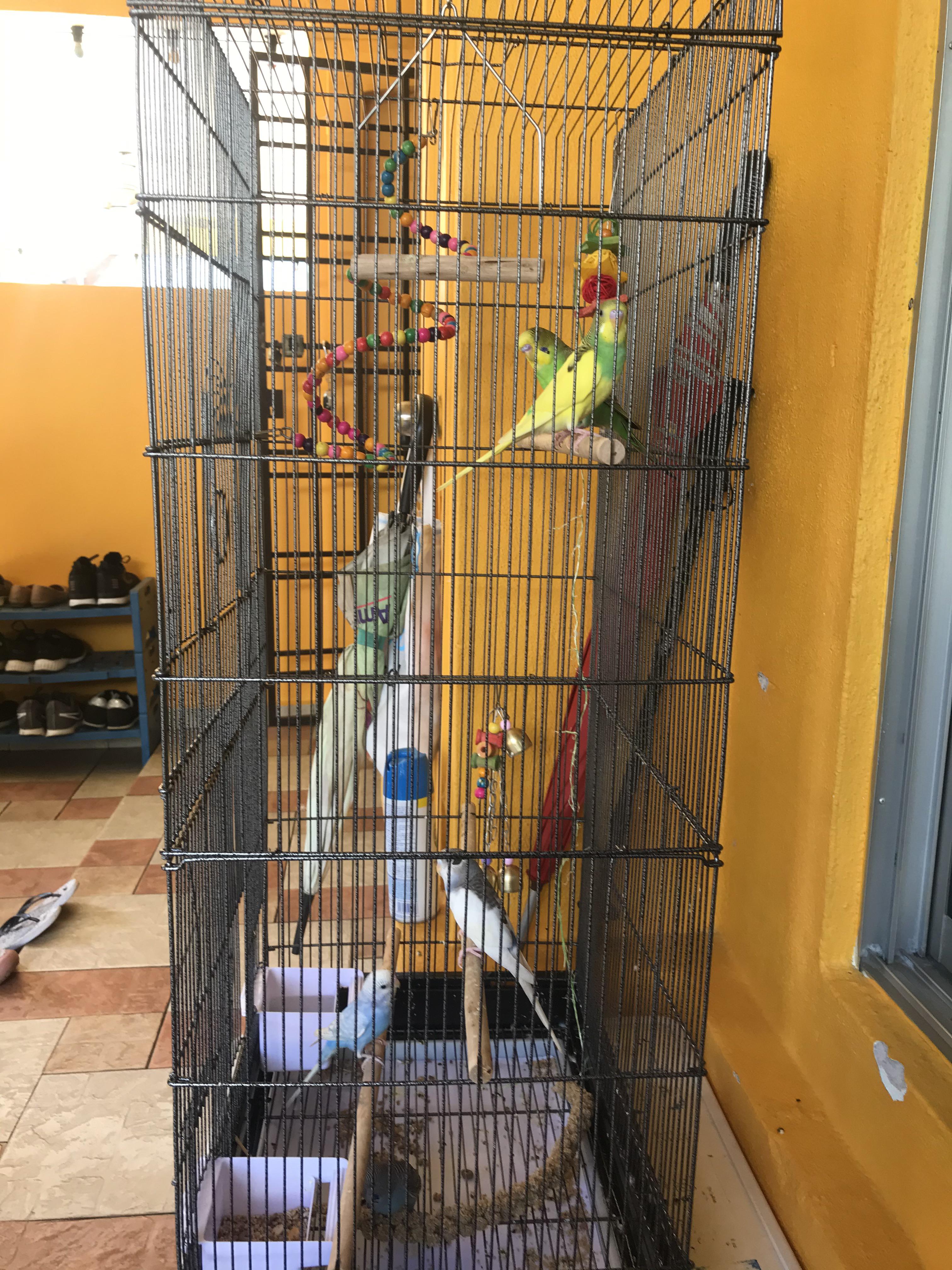 No horny enjoy bird | Scrolller