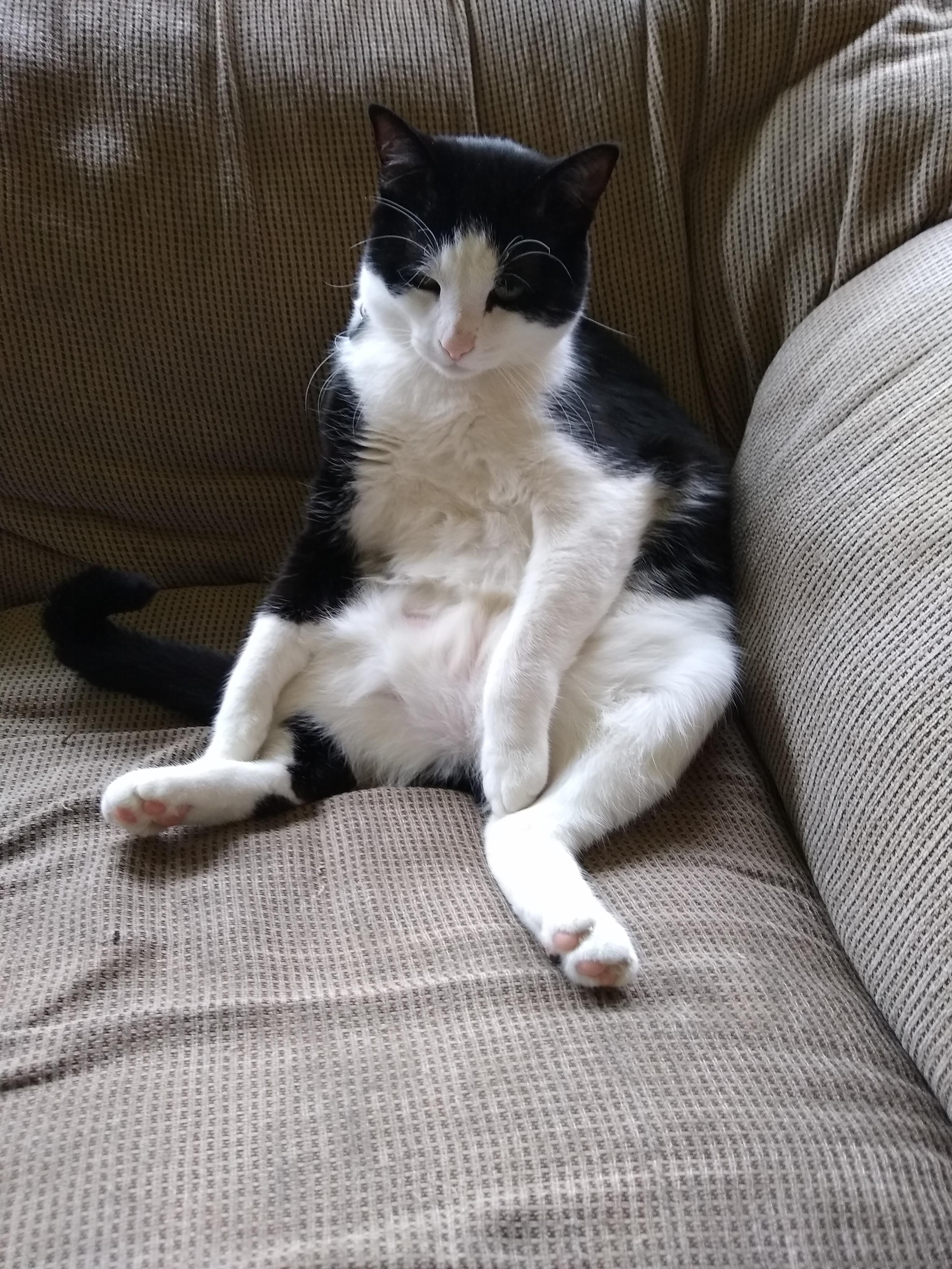 no thoughts head empty | Scrolller