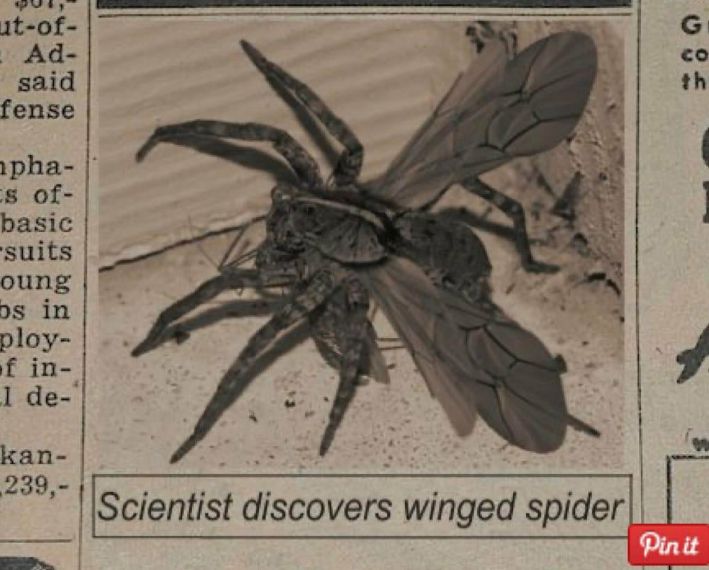 Noah...it is time | Scrolller