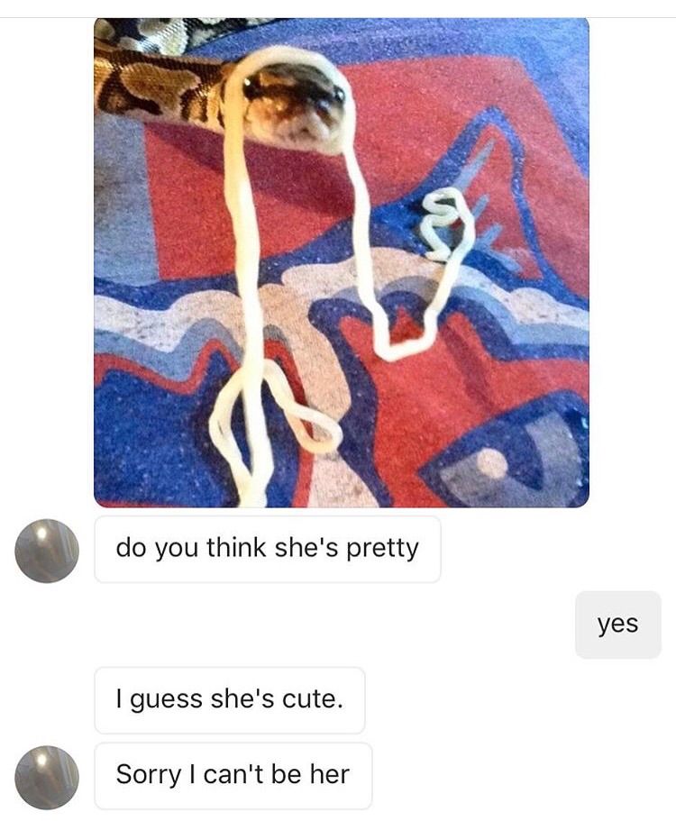 Noodle haired noodle | Scrolller