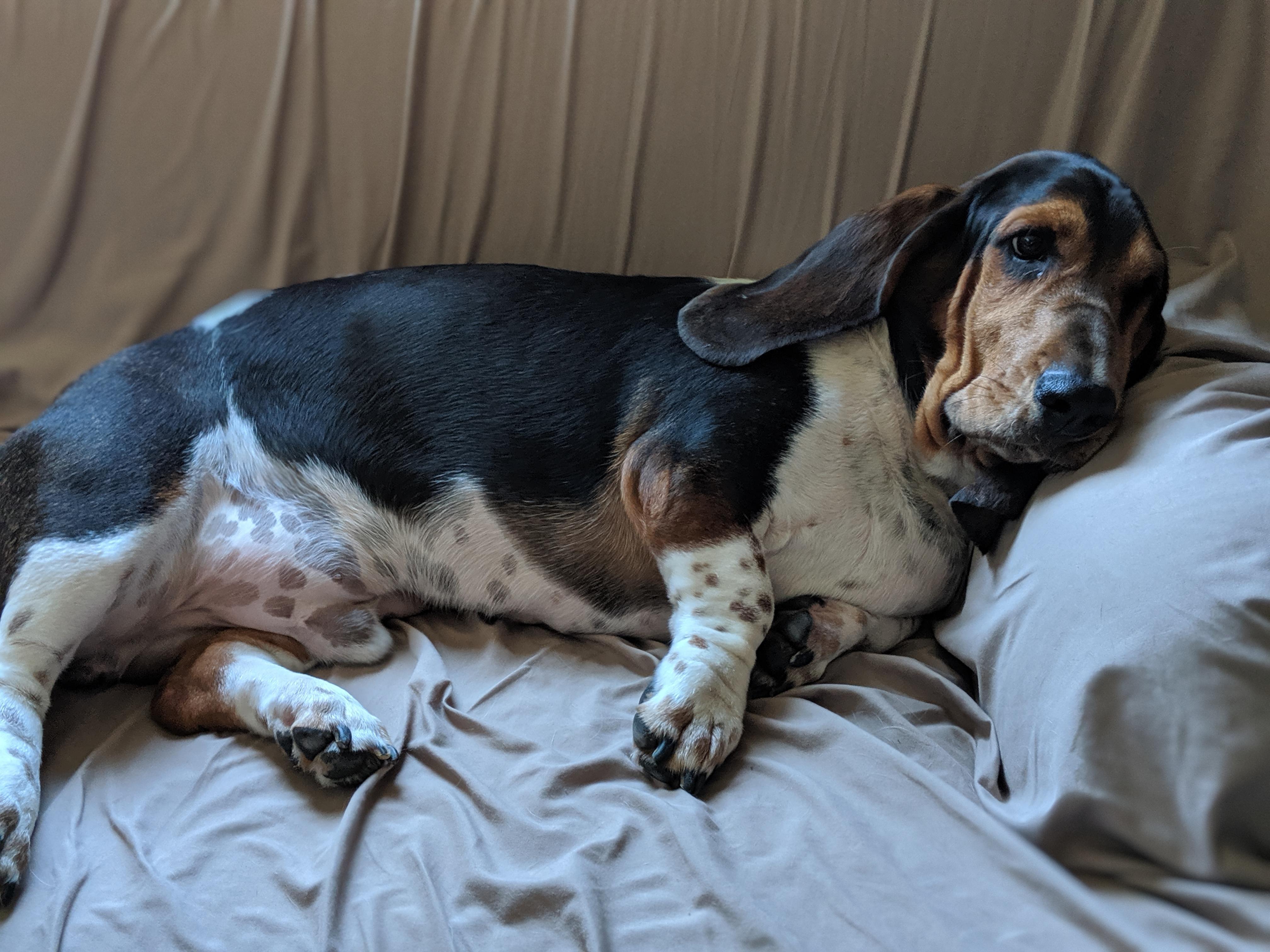 Norman is concerned his next meal is not soon enough | Scrolller