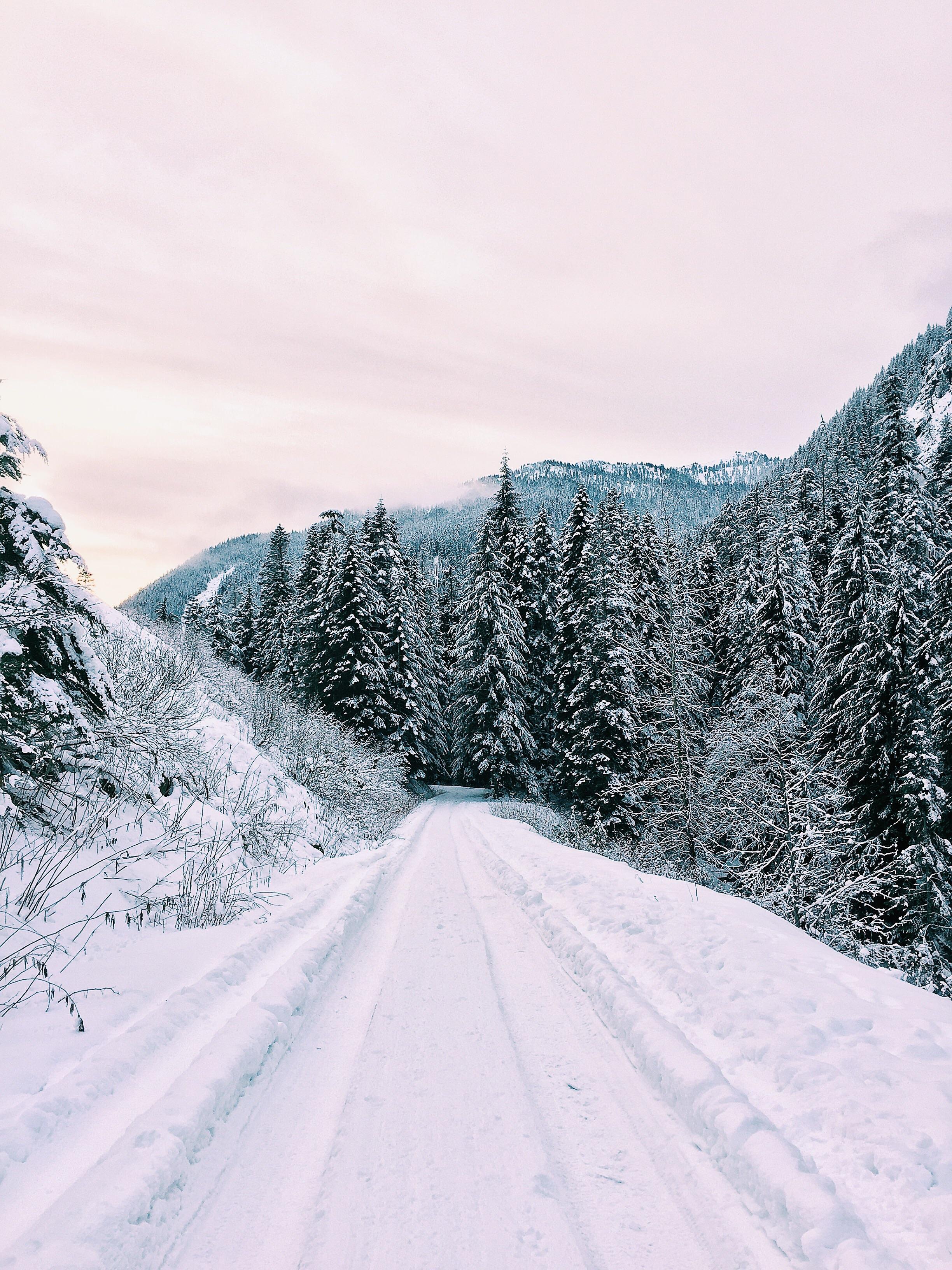 North Bend, WA | Scrolller