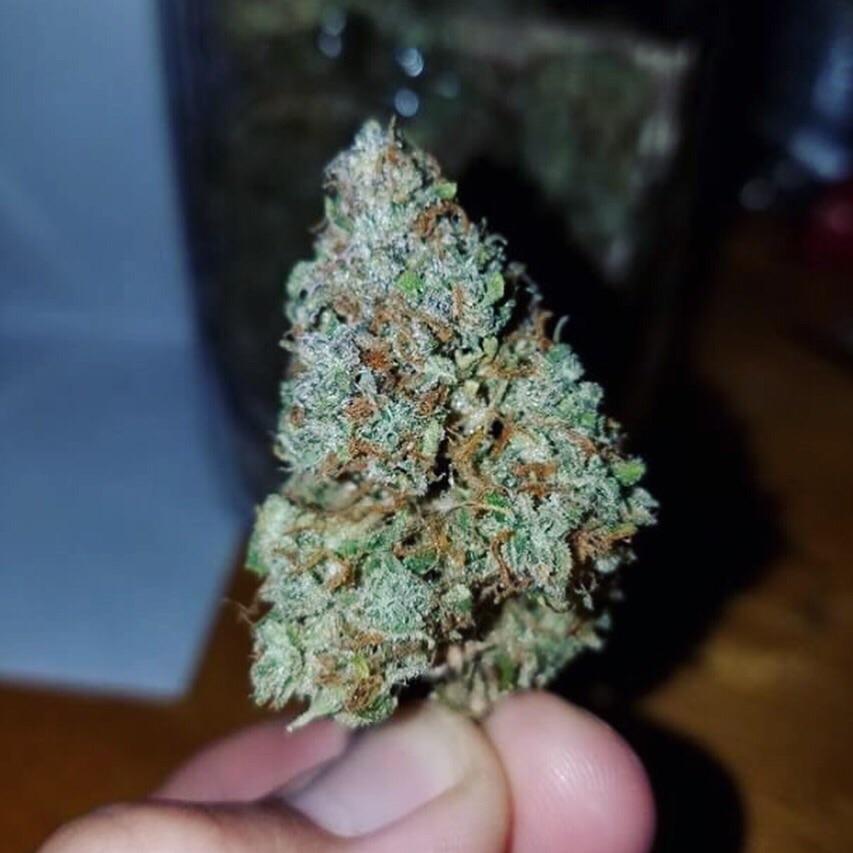 Northern Lights Nug Grown by a 1st Timer | Scrolller