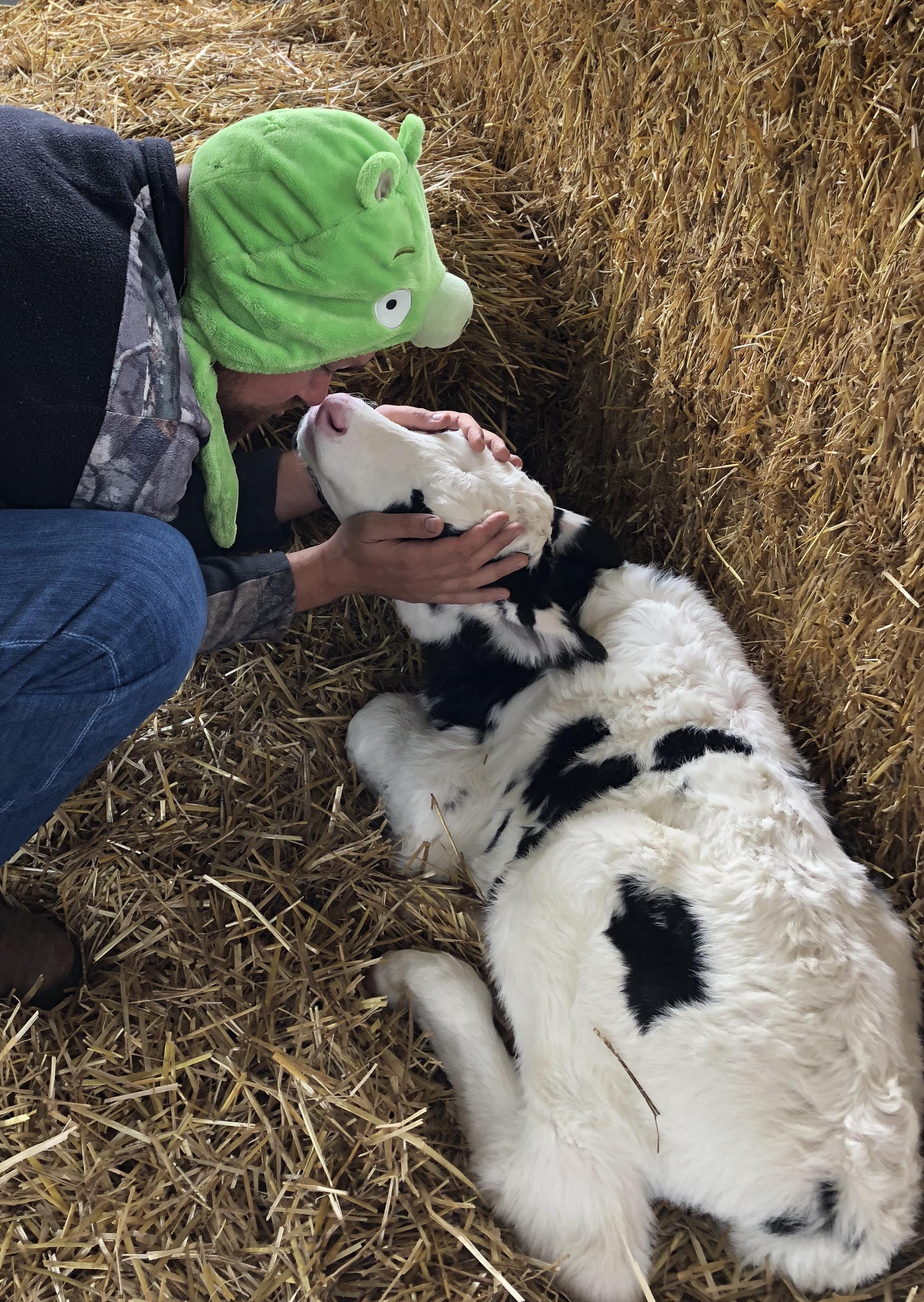 Nose boops | Scrolller