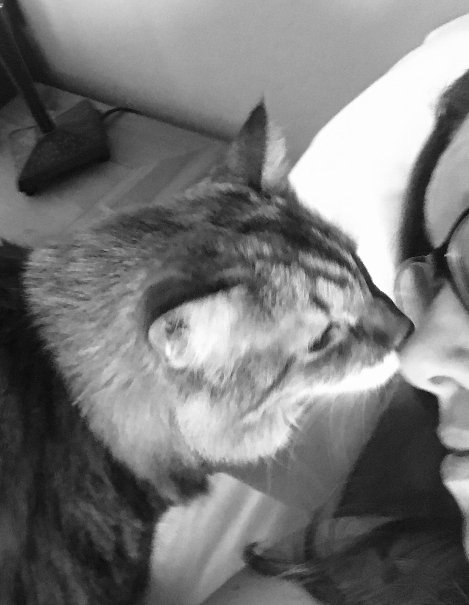 Nose boops from Miss Puff | Scrolller