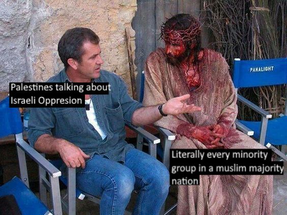 Not a Misleading Title | Scrolller