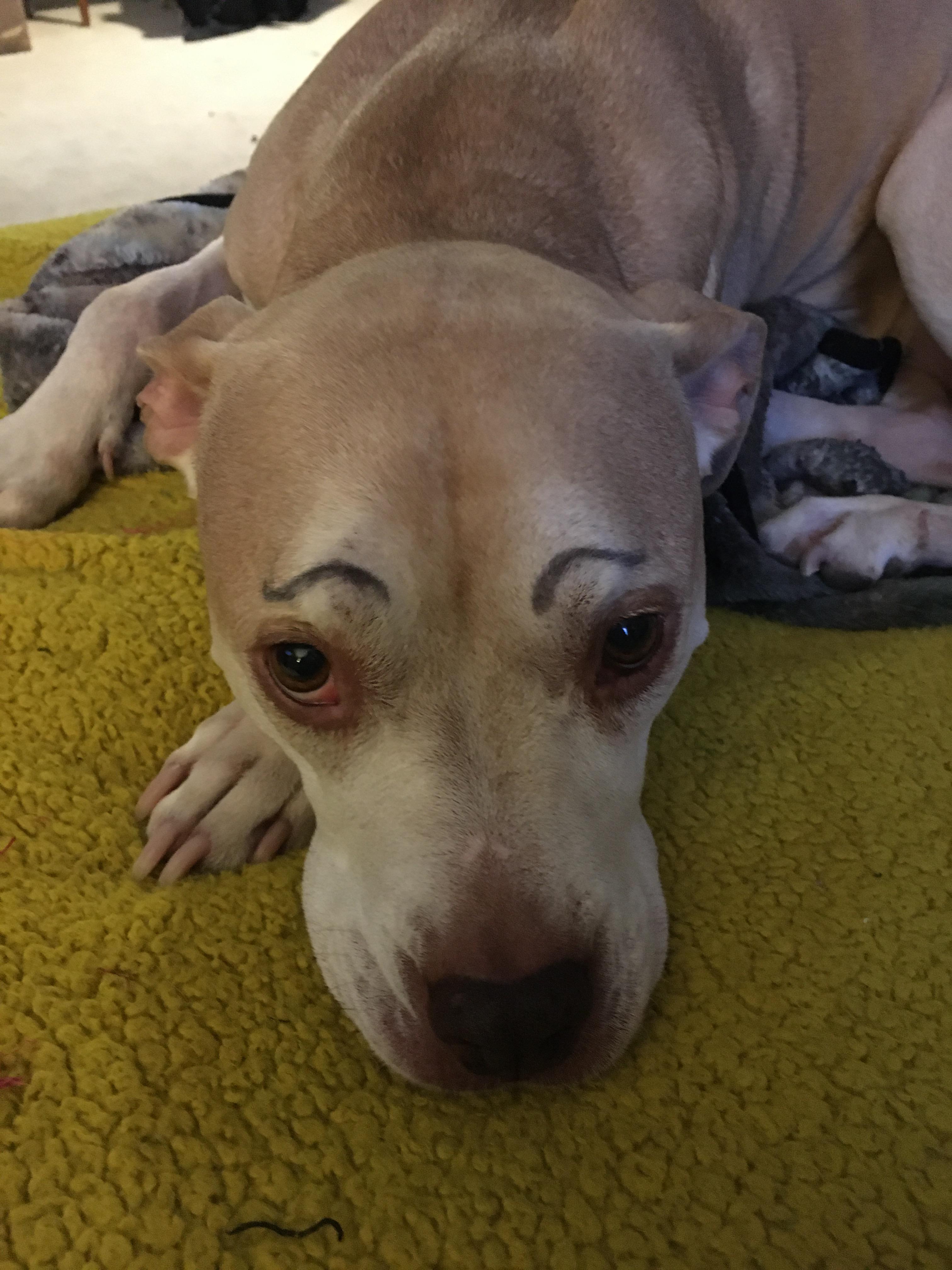 Not Amused... | Scrolller