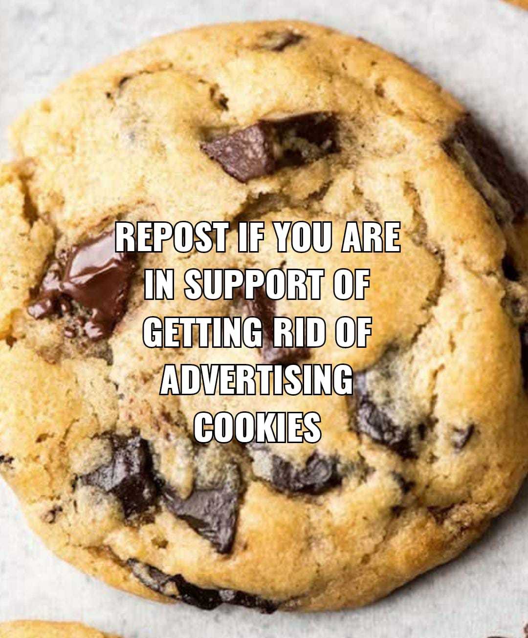 Not forcing you too do anything but... | Scrolller