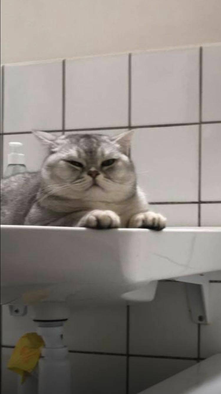 Not so cute, but darn charming | Scrolller