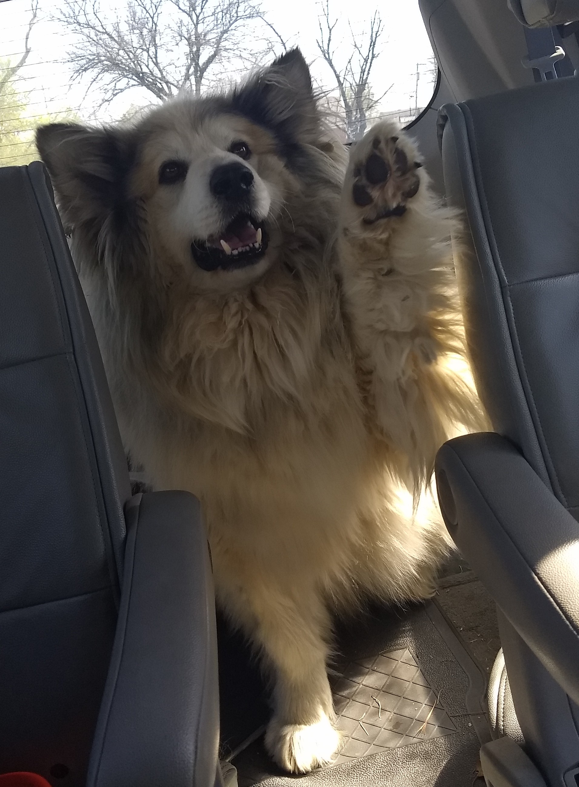 Nothing like getting slapped on the shoulder while you're trying to drive because someone needs ...