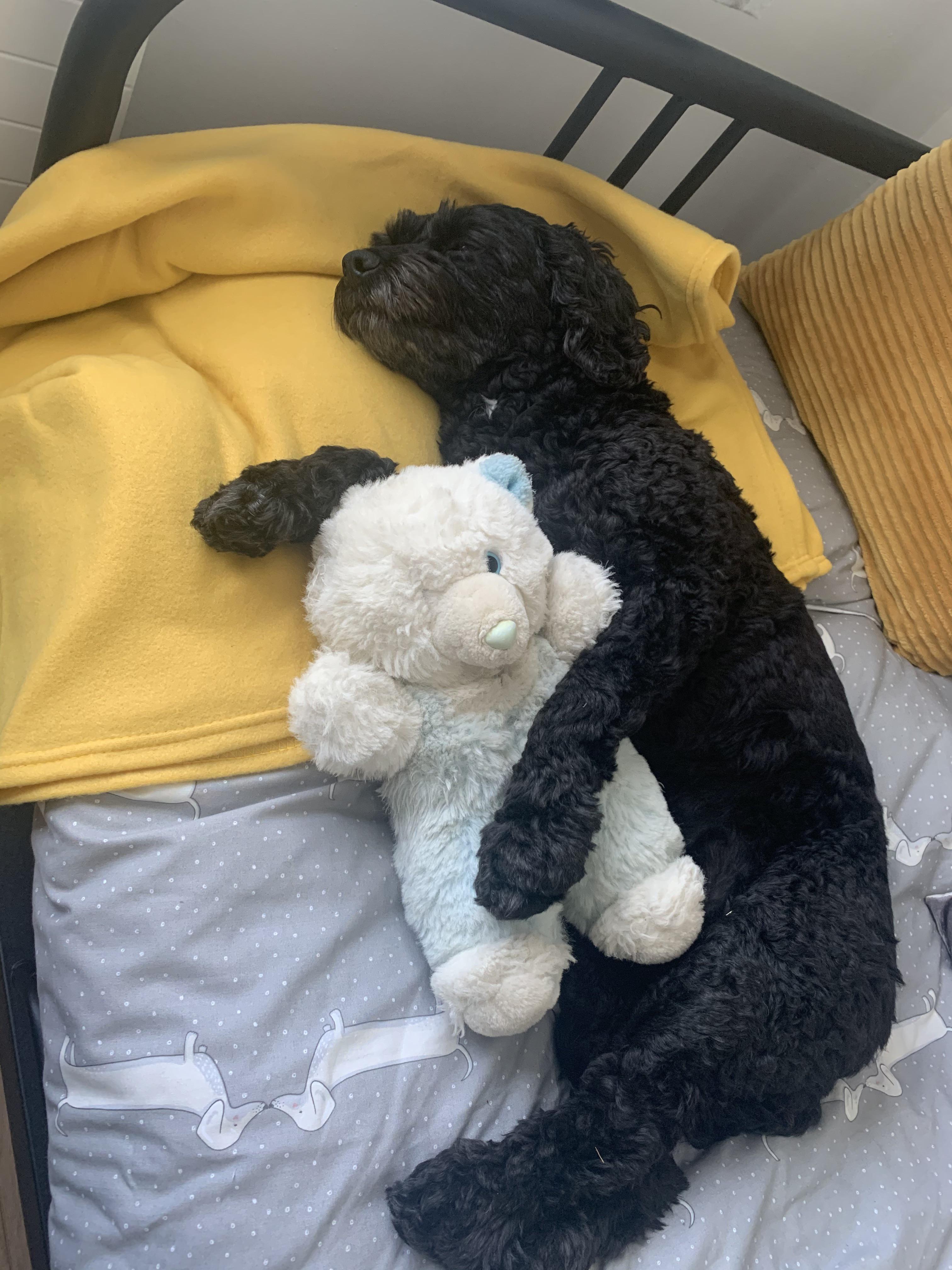 #number 1 spooning buddy | Scrolller