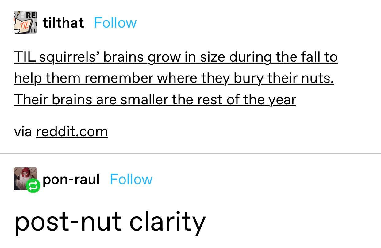 Nut | Scrolller