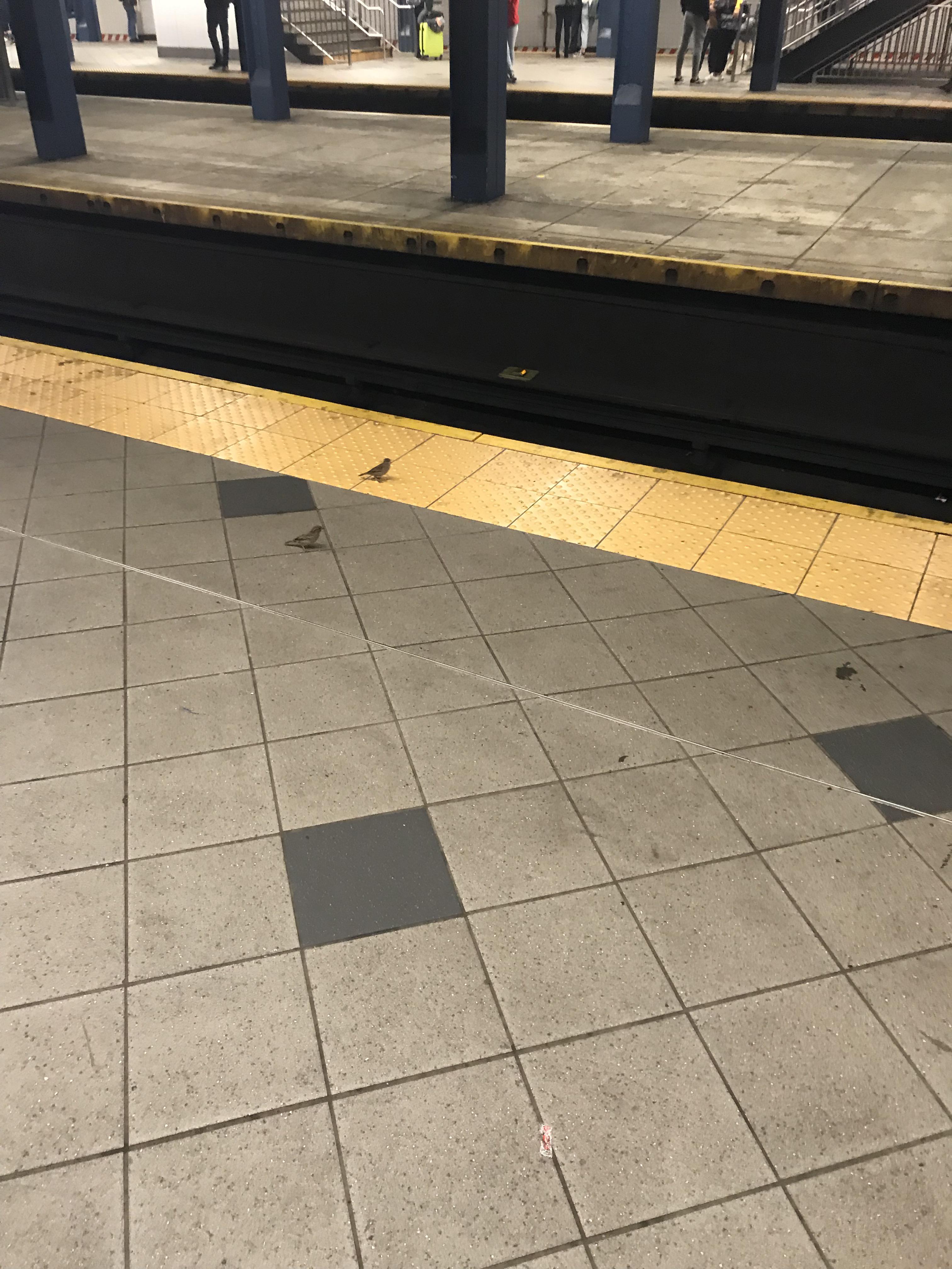 Nyc subway | Scrolller