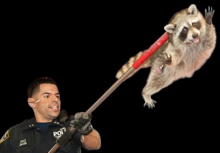 NYPD apprehending a perp [758x527] | Scrolller