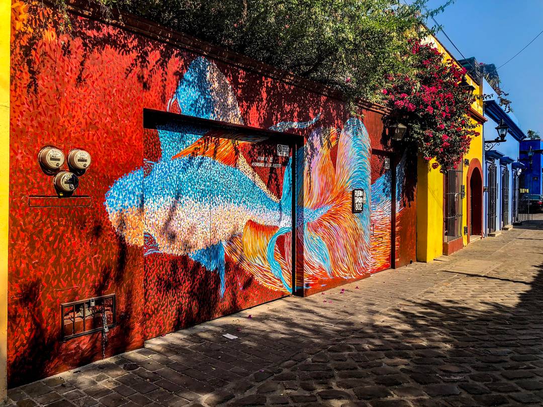 Oaxaca hermoso | Scrolller