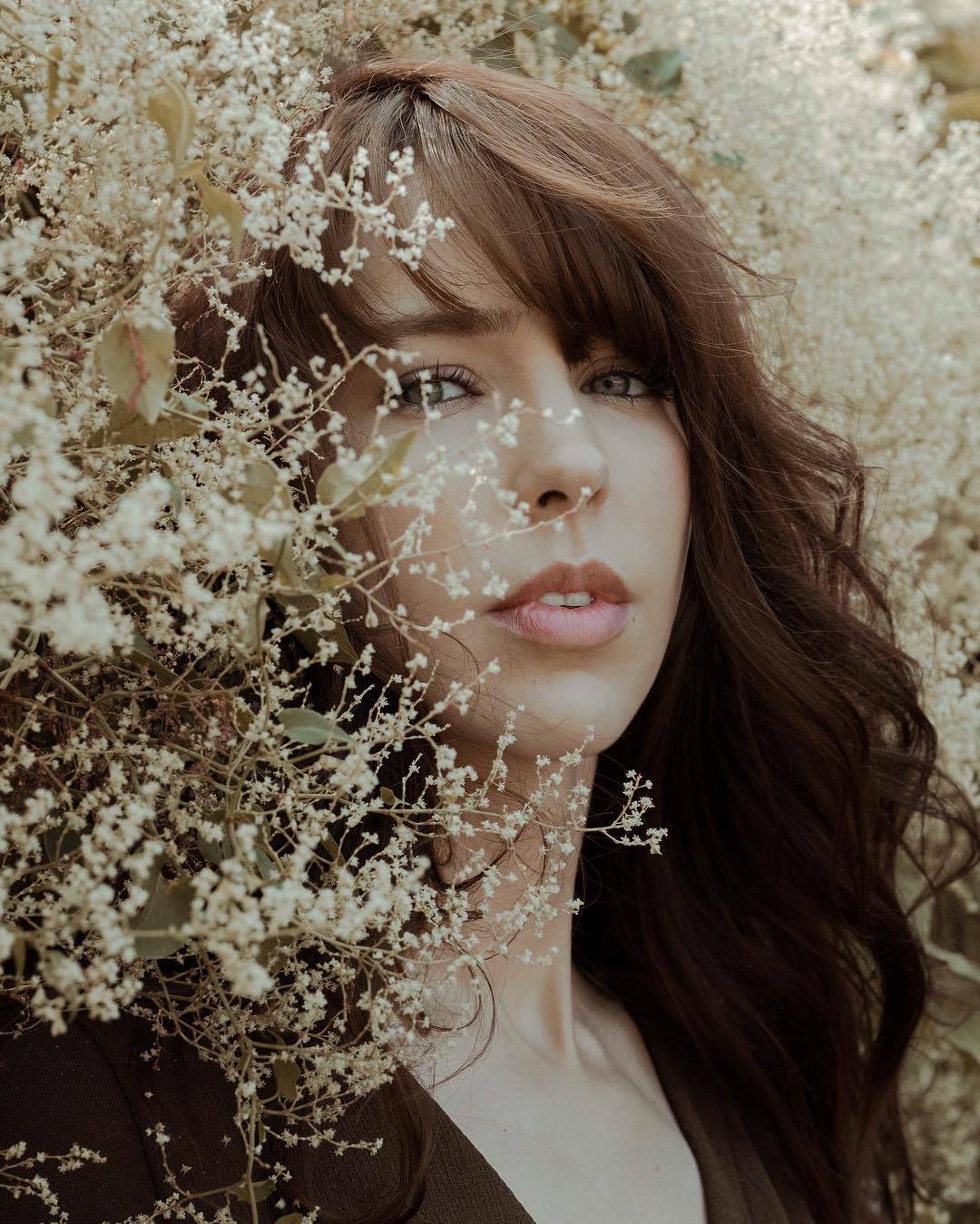 Obscured by Flowers | Scrolller