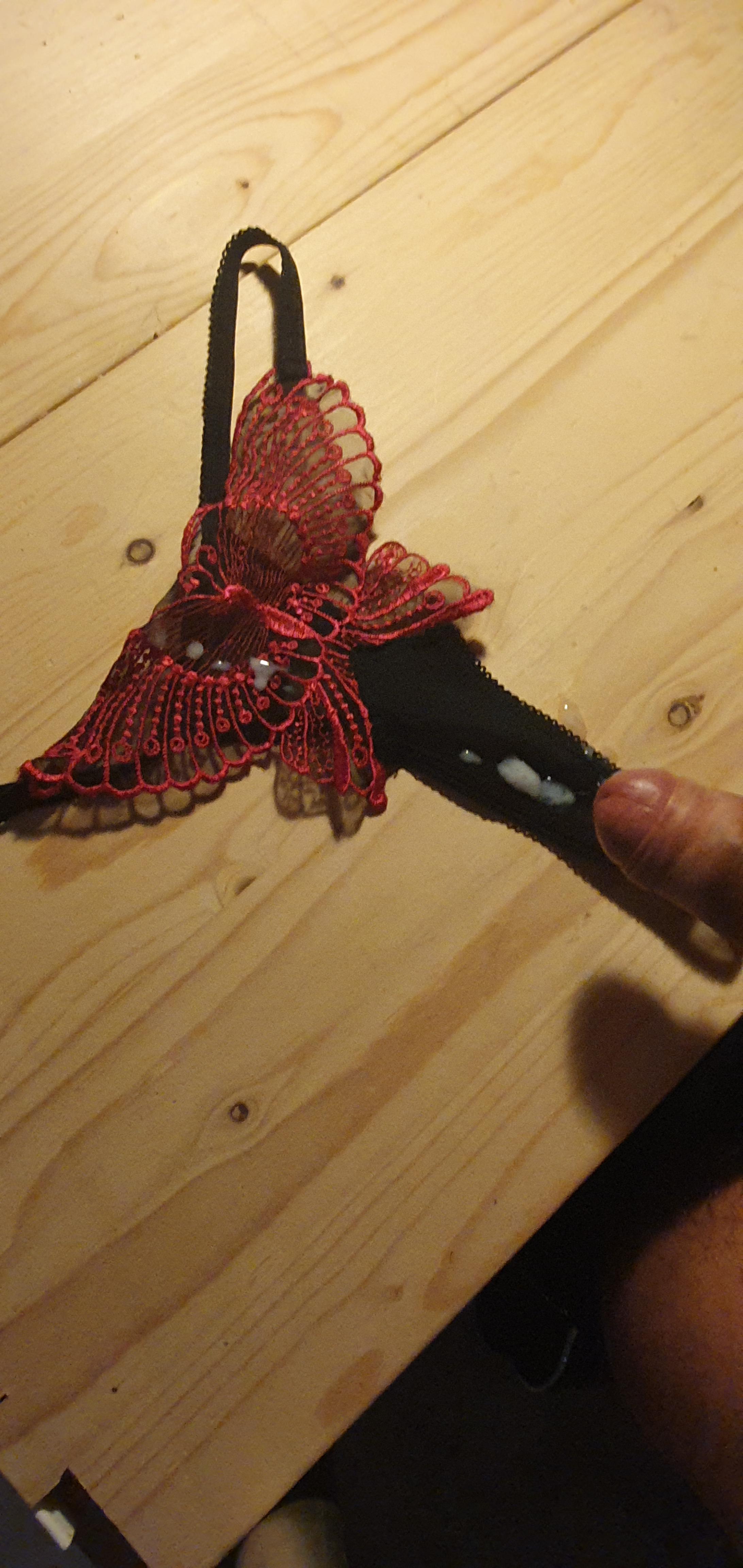 [Oc]A shot on Butterflystring fro[m] my neighbor | Scrolller