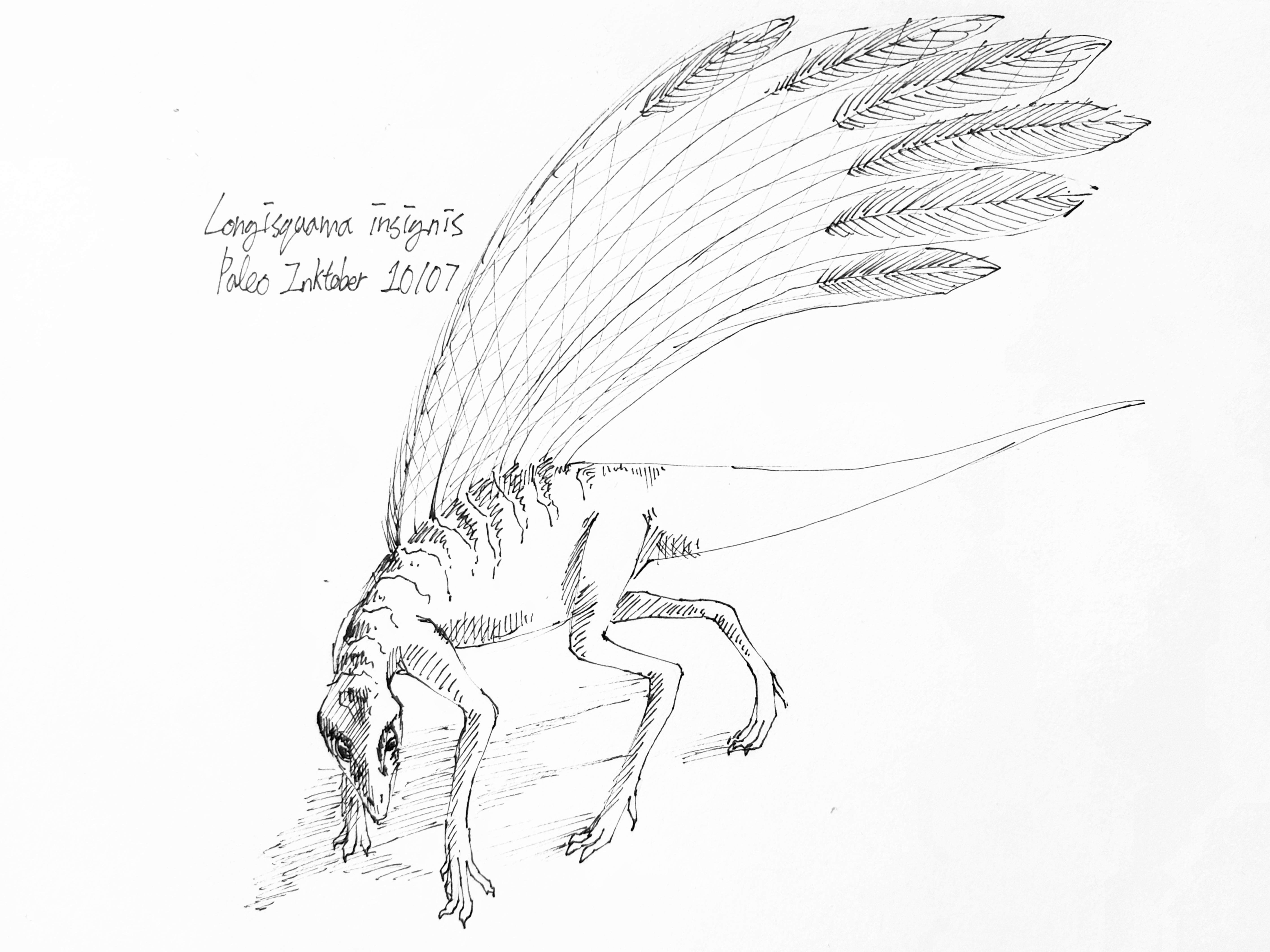 [OC] Paleo Inktober Day 07: Longisquama insignis, the fancy lizard boi | Scrolller