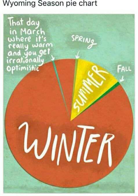 Oddly accurate | Scrolller