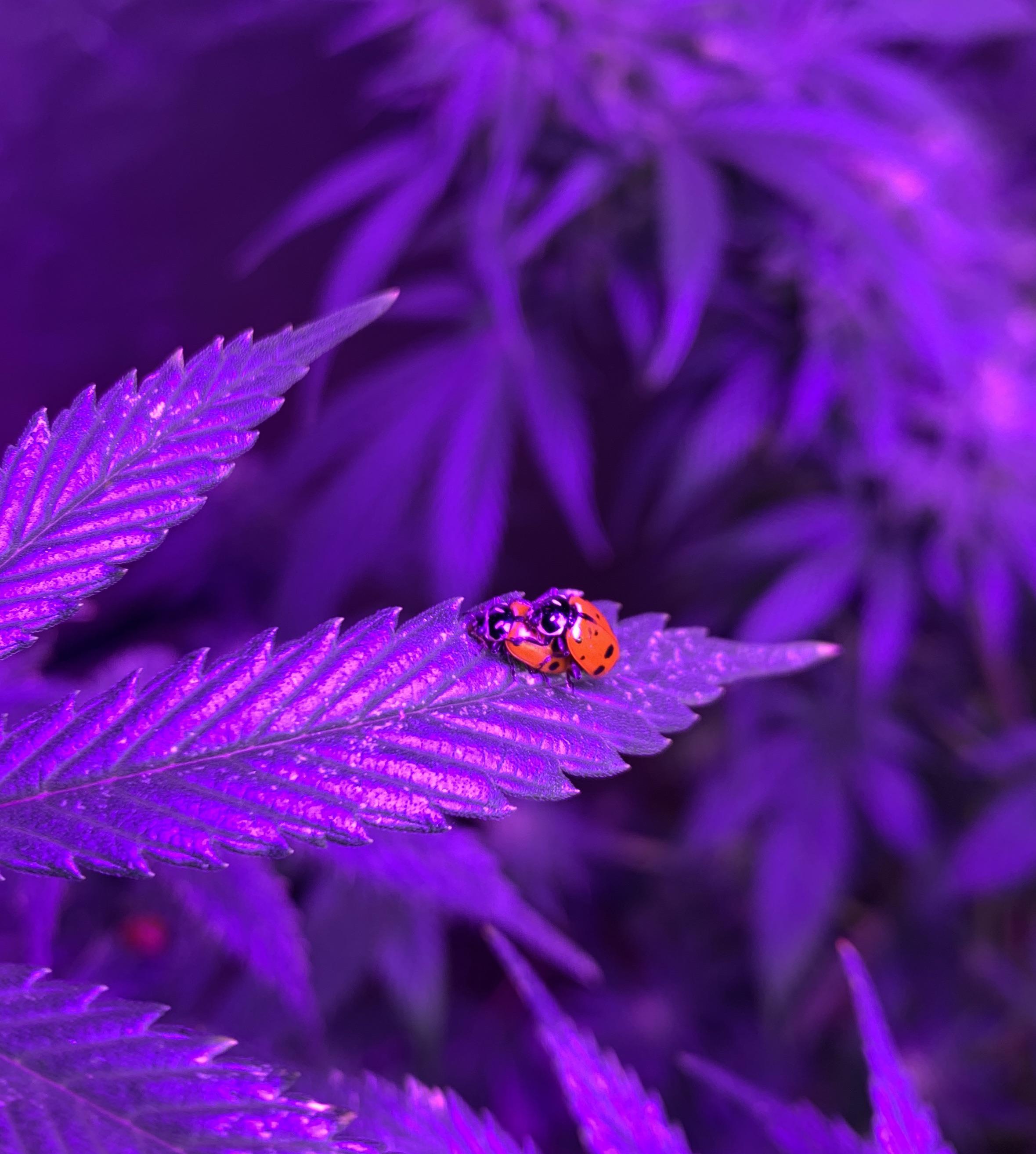 Office romance | Scrolller