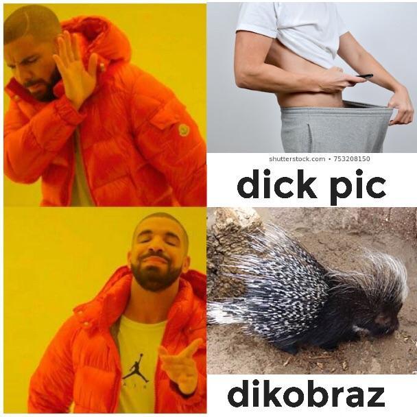 OG shitpost | Scrolller