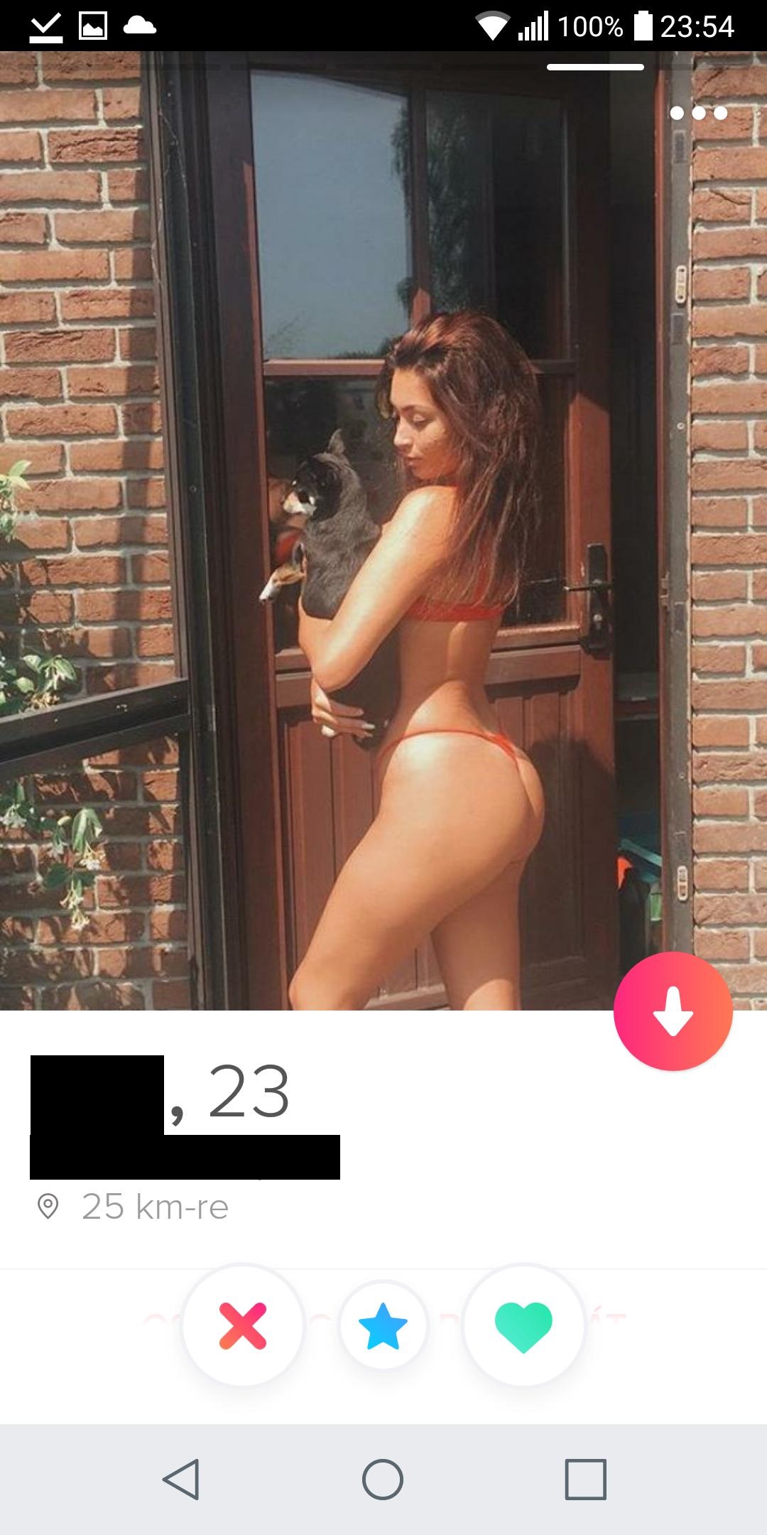 Oh hai doggy | Scrolller