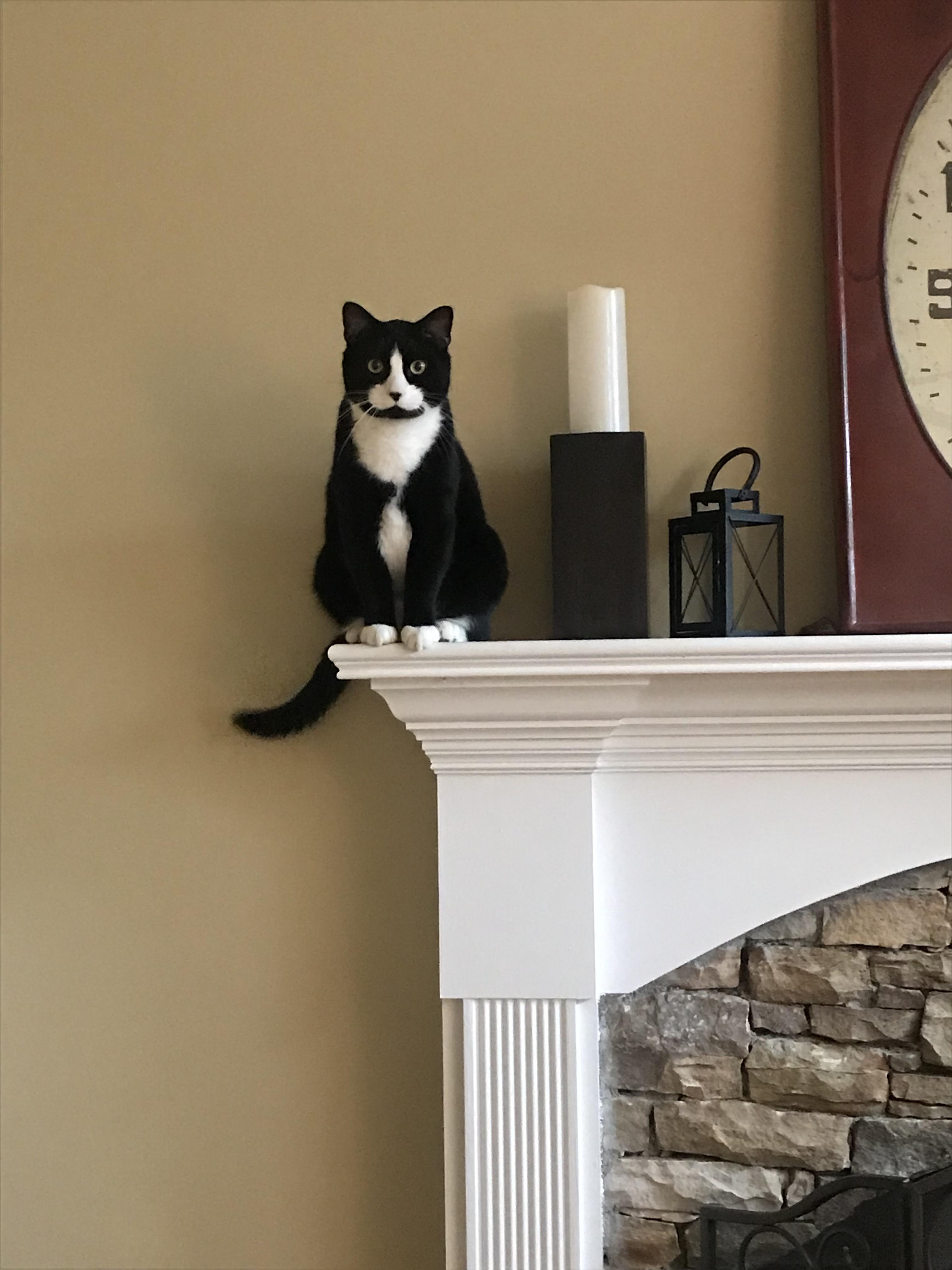 Oh hello there | Scrolller