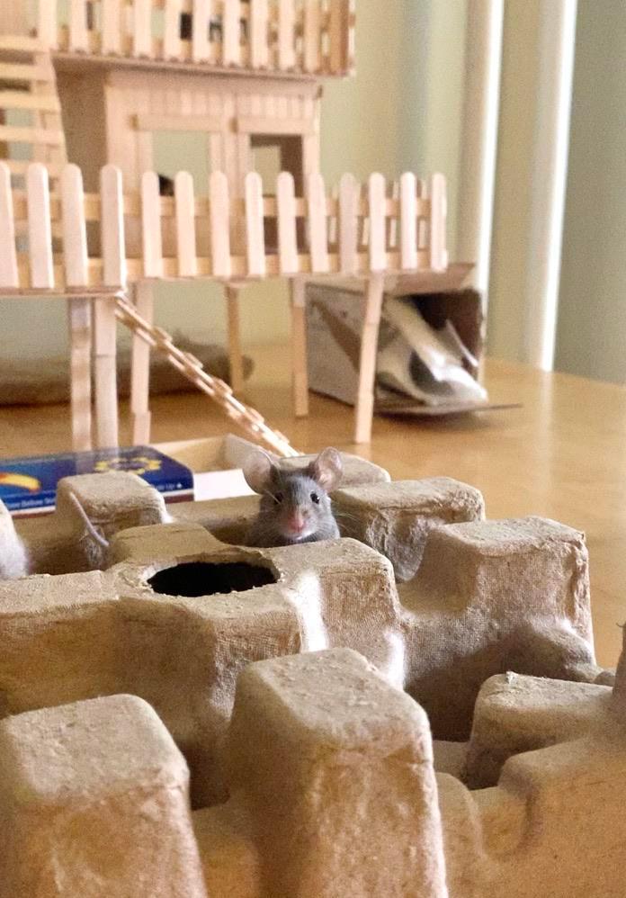 Oh, hello world! | Scrolller