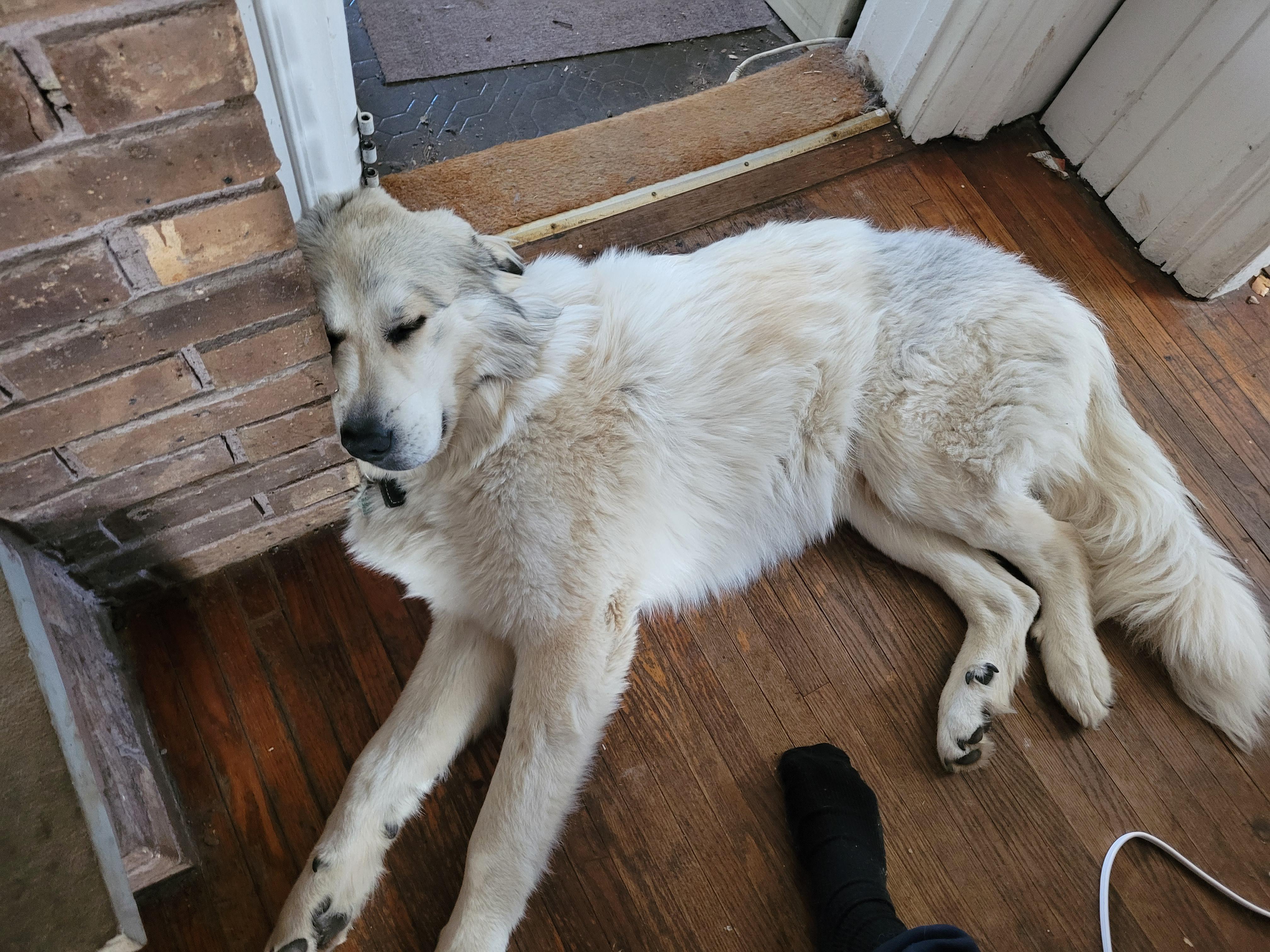 Oh, okay buddy I'll just go around. | Scrolller