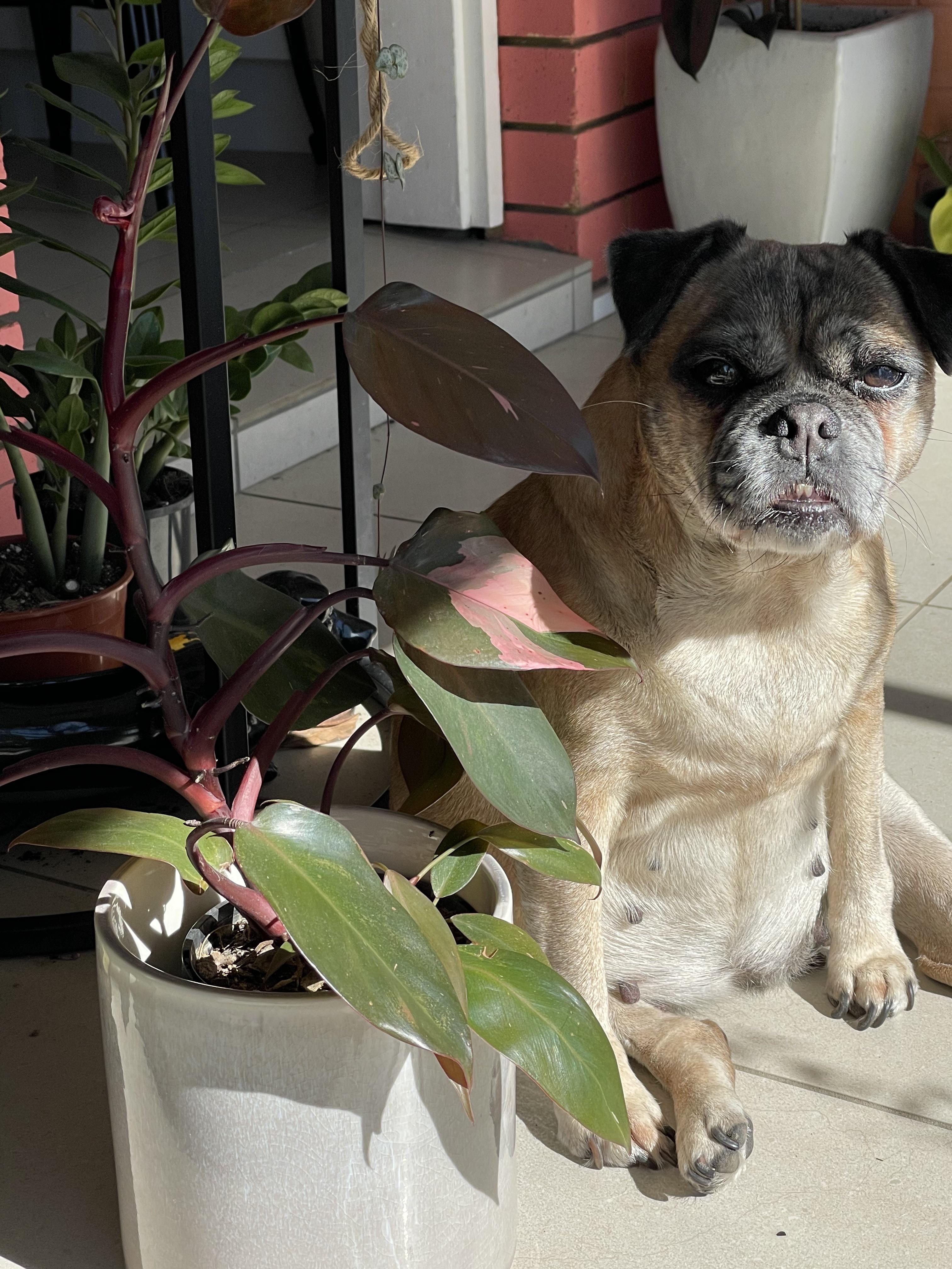 Old girls soaking up the rays 💚 | Scrolller