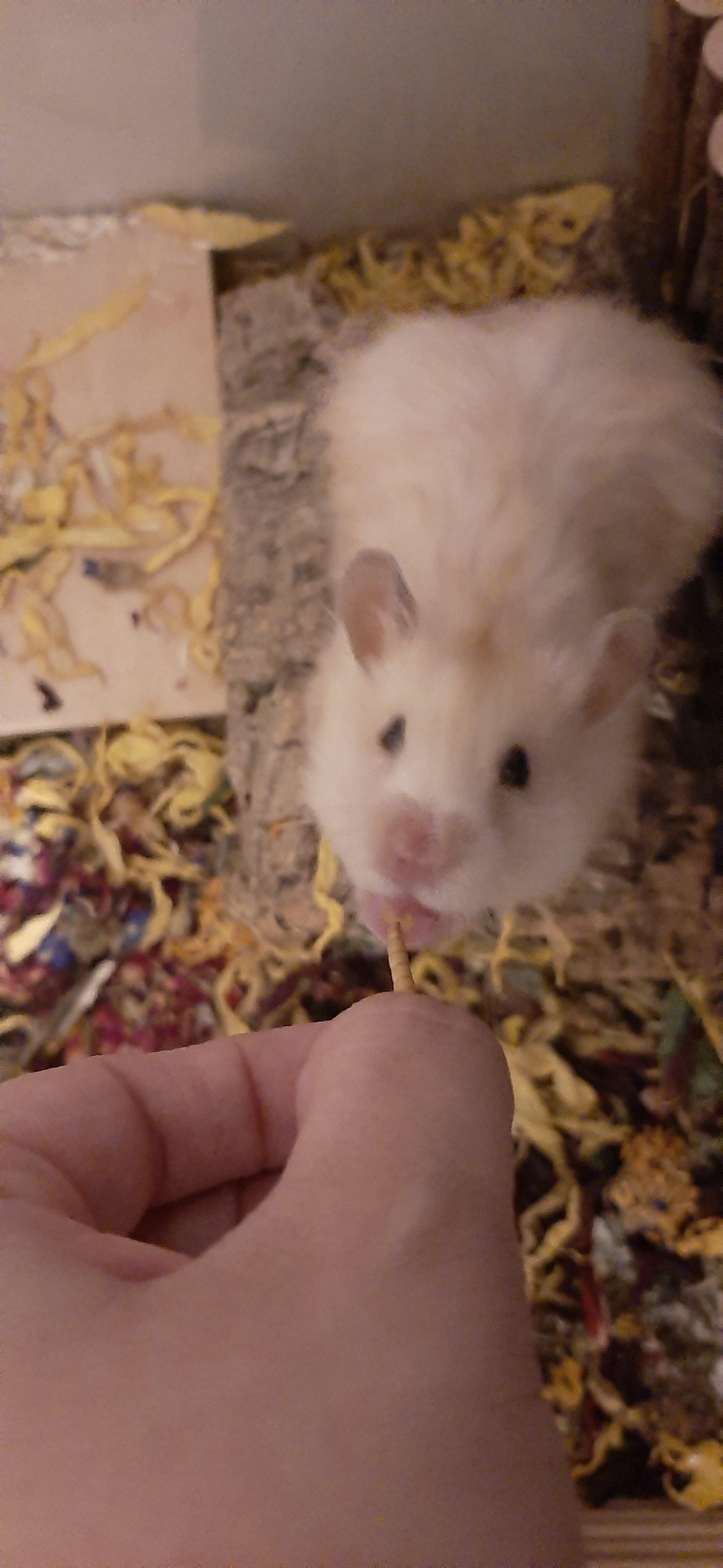 om nom nom nom nom | Scrolller