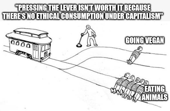 Omni logic | Scrolller