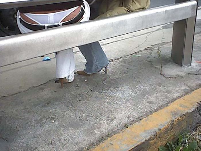 On the Bench | Scrolller