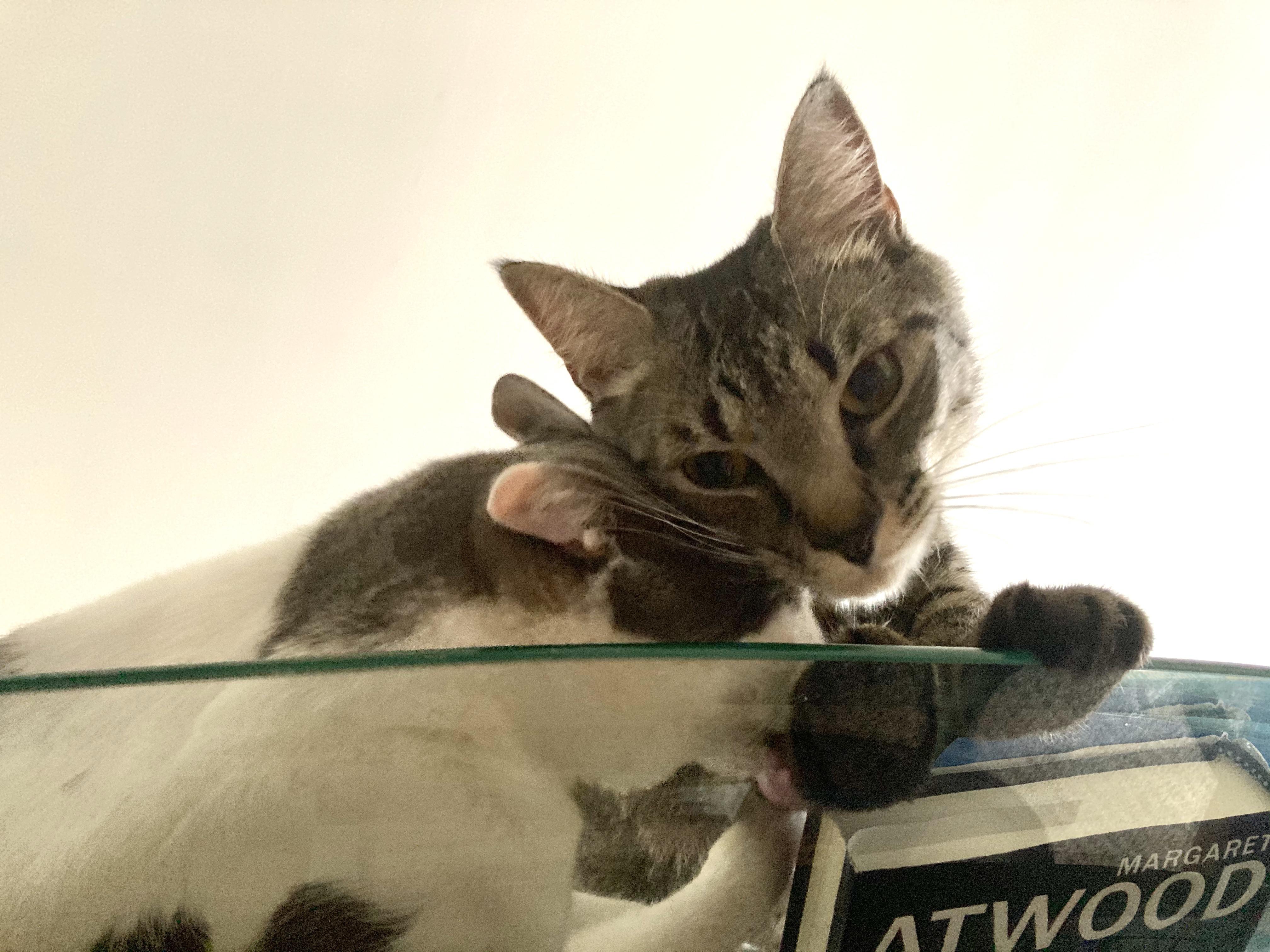 On the edge | Scrolller