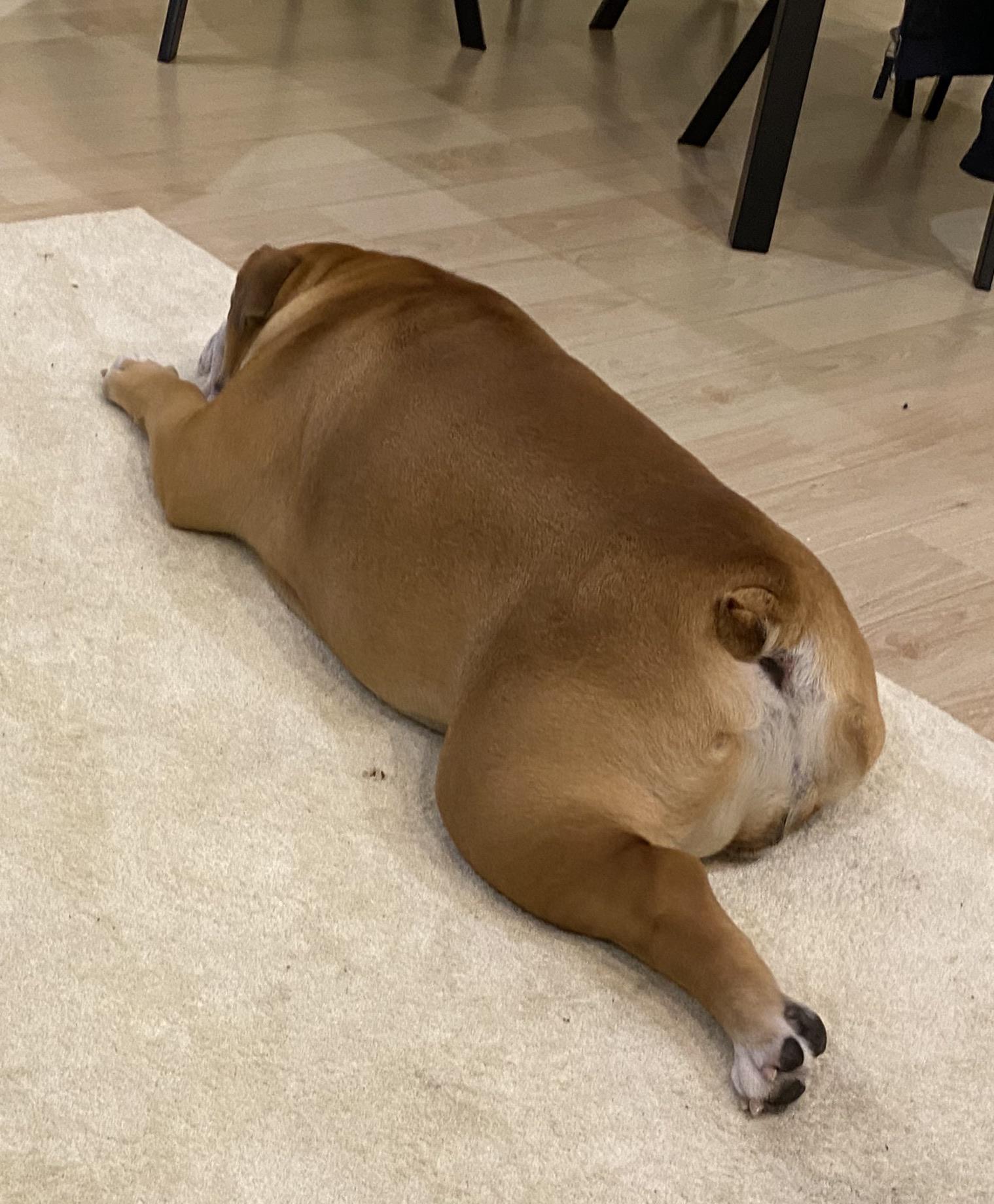 one eyed bully!!! | Scrolller