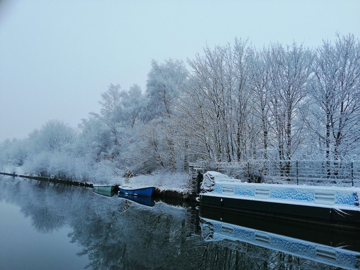 One from last winter | Scrolller