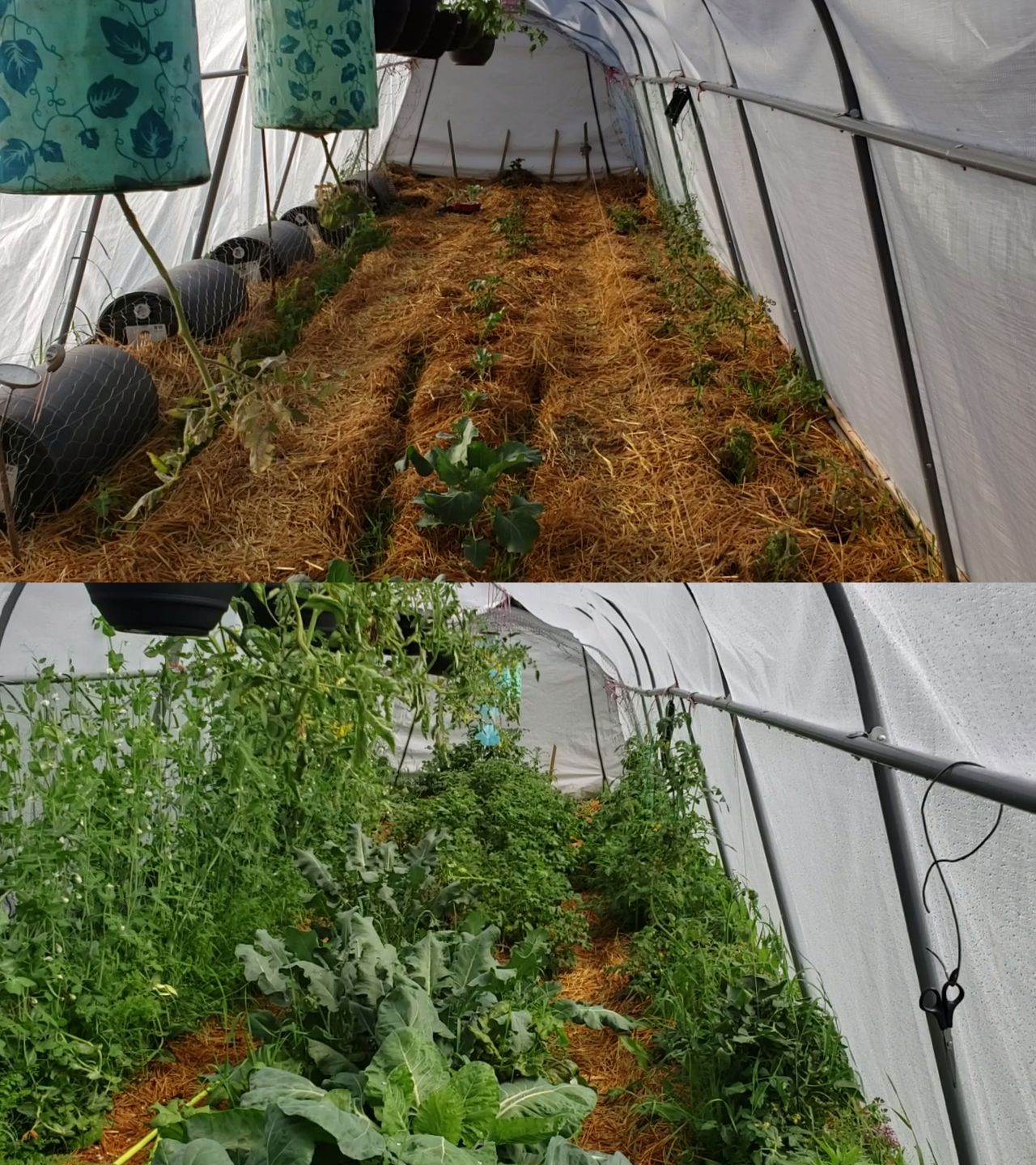 One month later difference | Scrolller