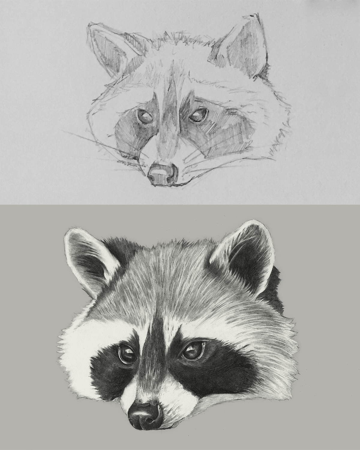 One year drawing progress | Scrolller