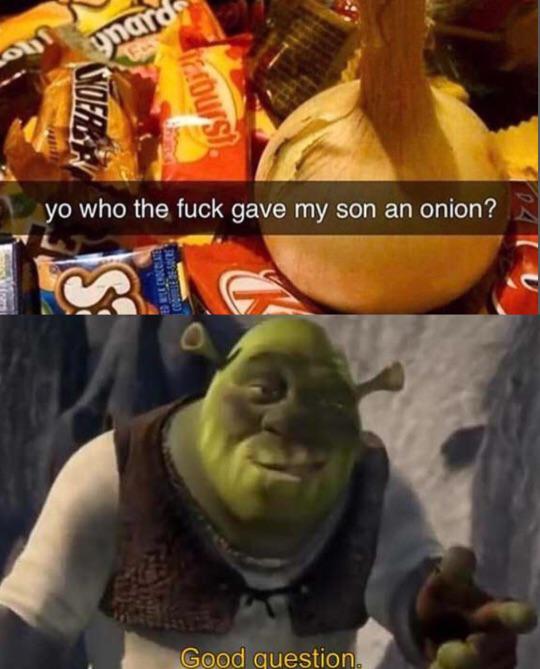 Onions have layers | Scrolller