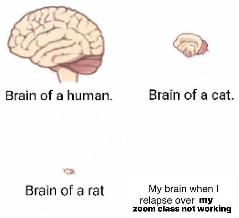 Online school sucks | Scrolller