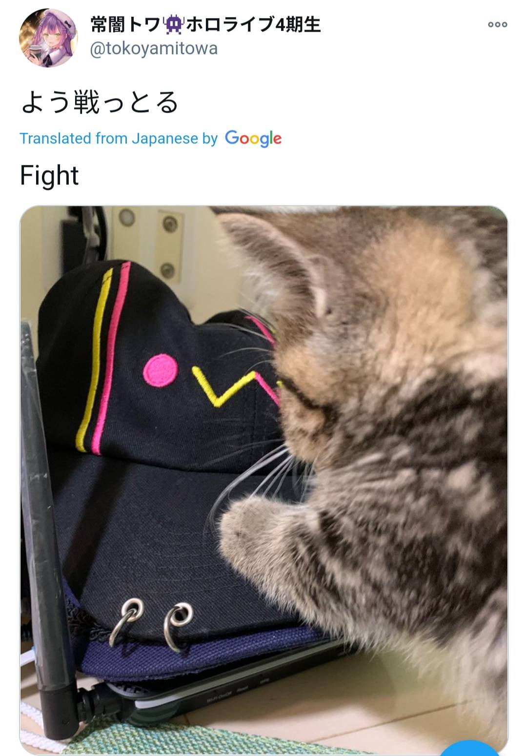 Only one will survive | Scrolller