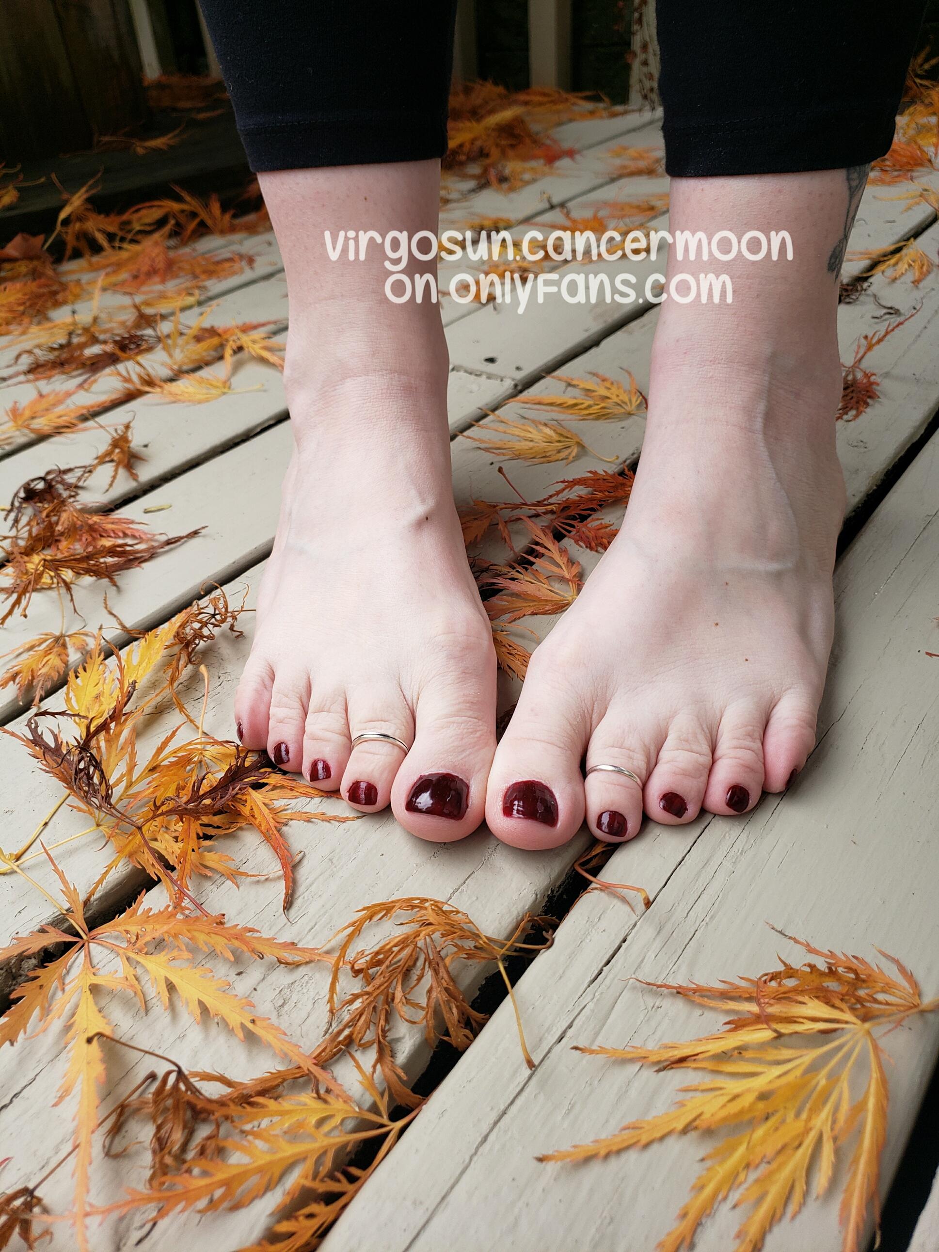 Onlyfans @virgosun.cancermoon | Scrolller