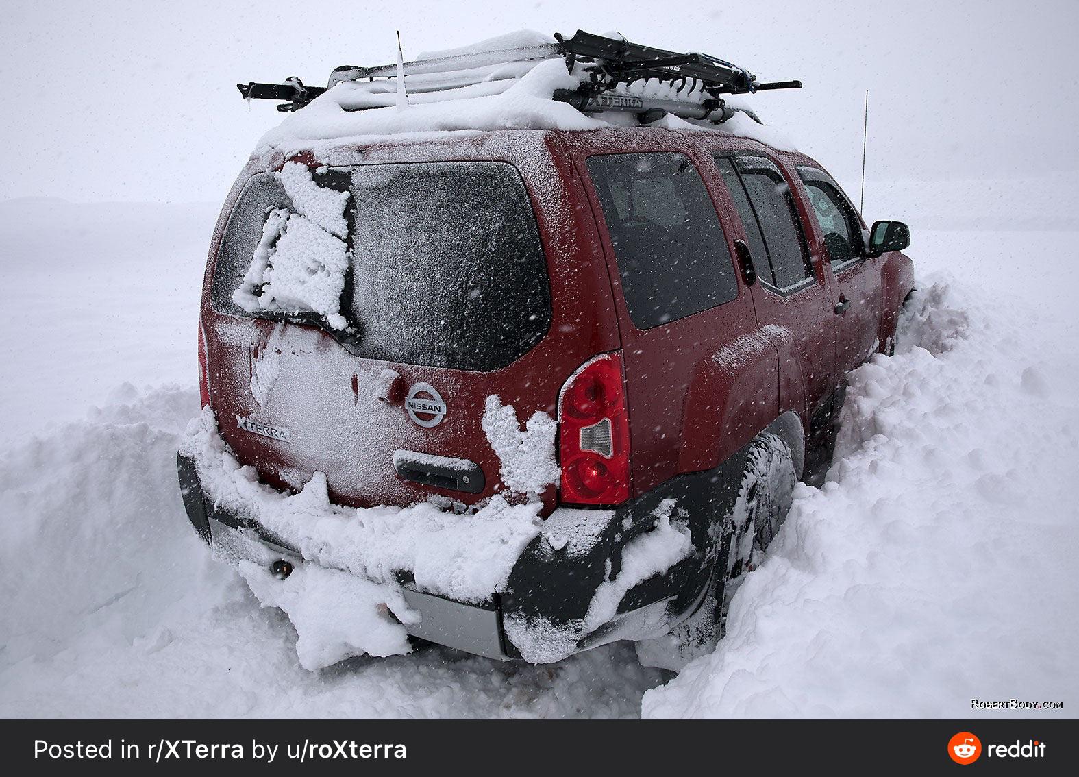 Optimism — make your own path | Scrolller