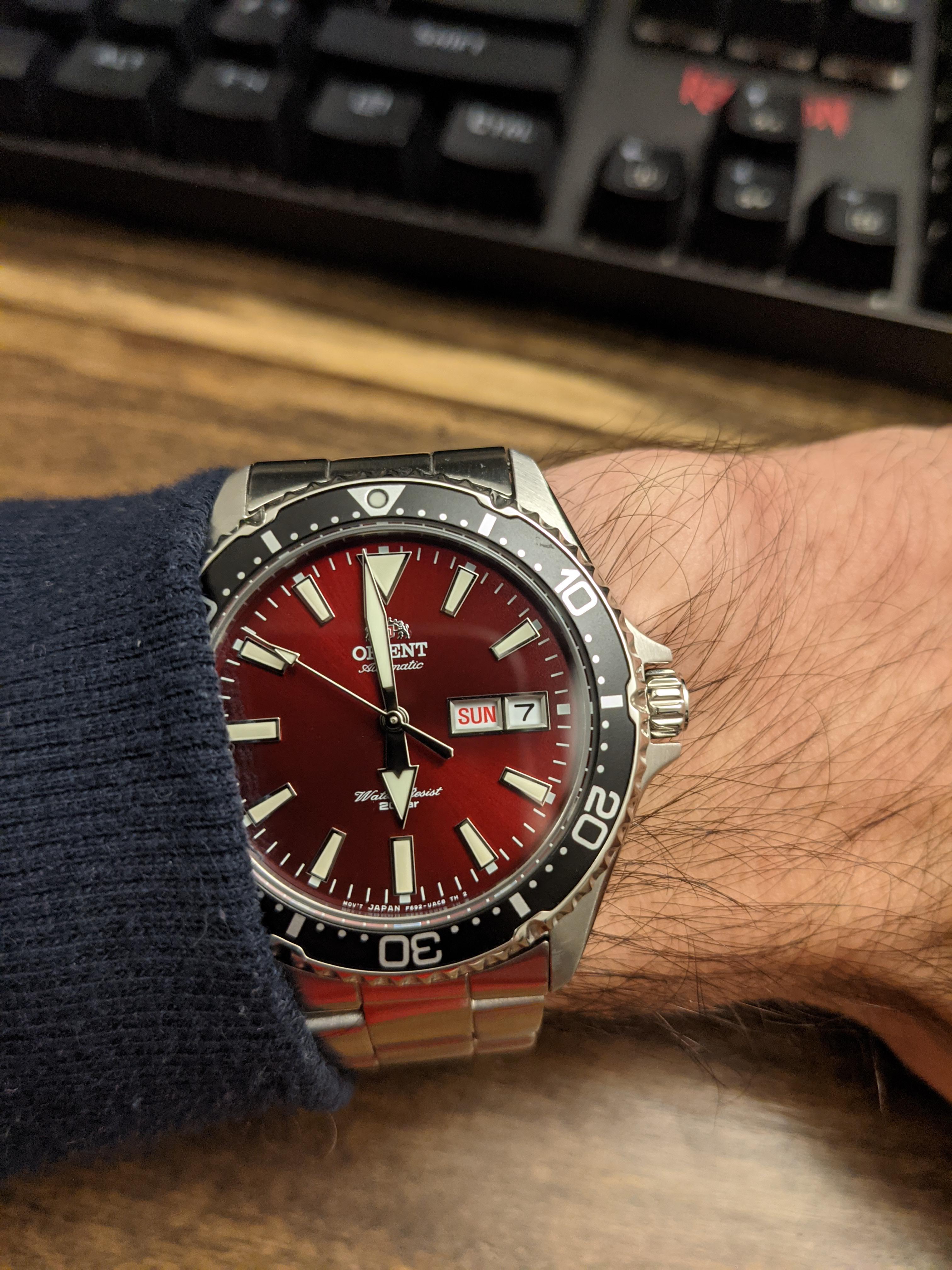 [Orient Kamasu] A pop of colour. | Scrolller