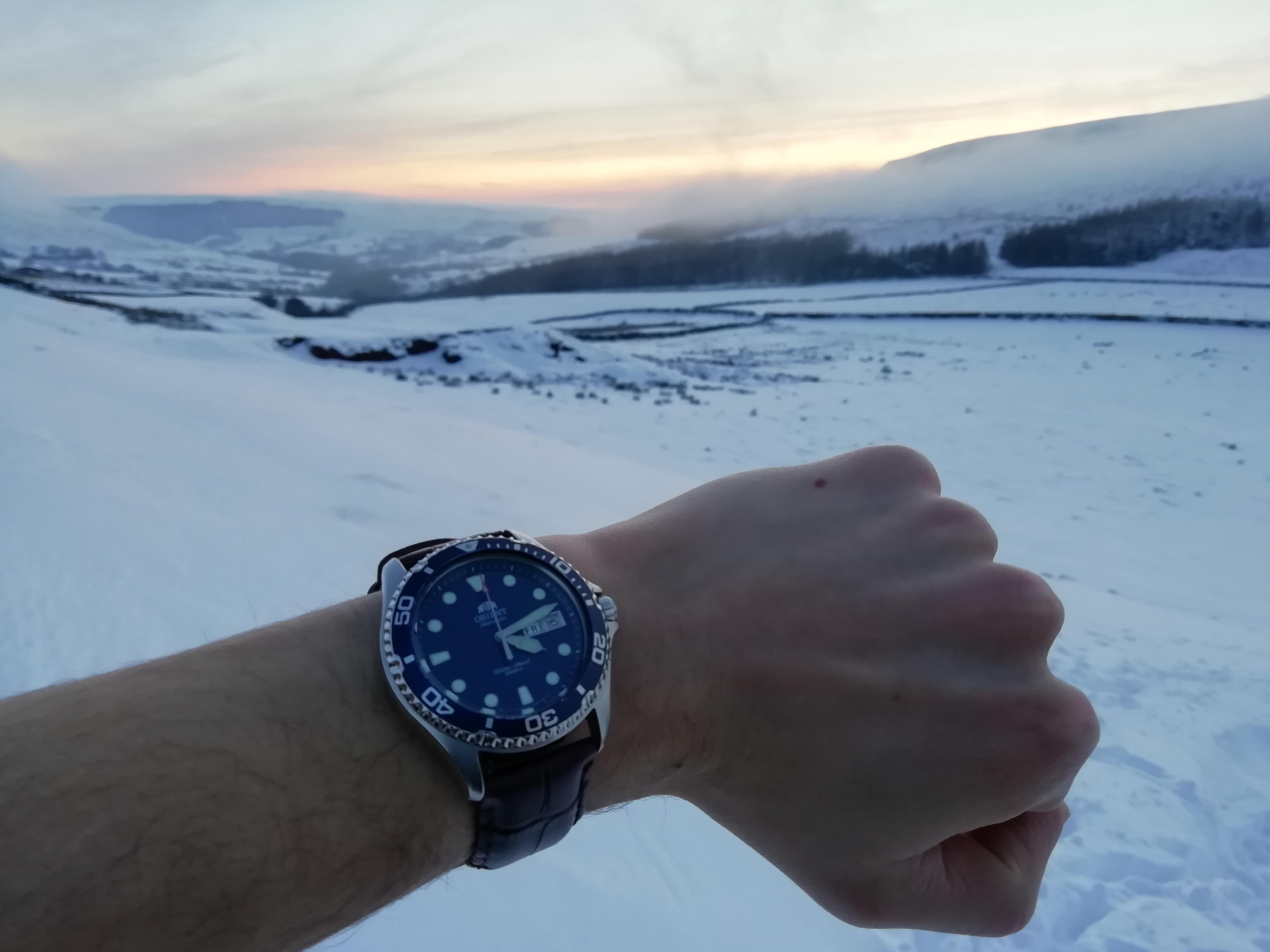 [Orient] My Ray II Everyday Wear | Scrolller