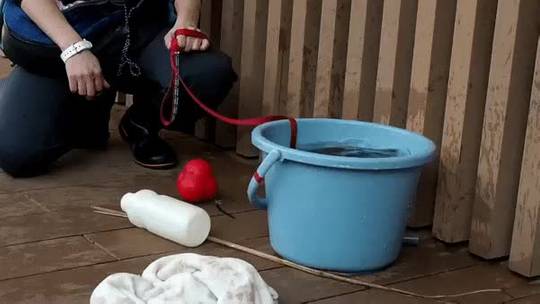 Otter in bucket | Scrolller