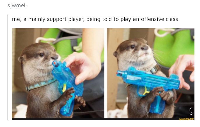 Otter-themed tumblr | Scrolller